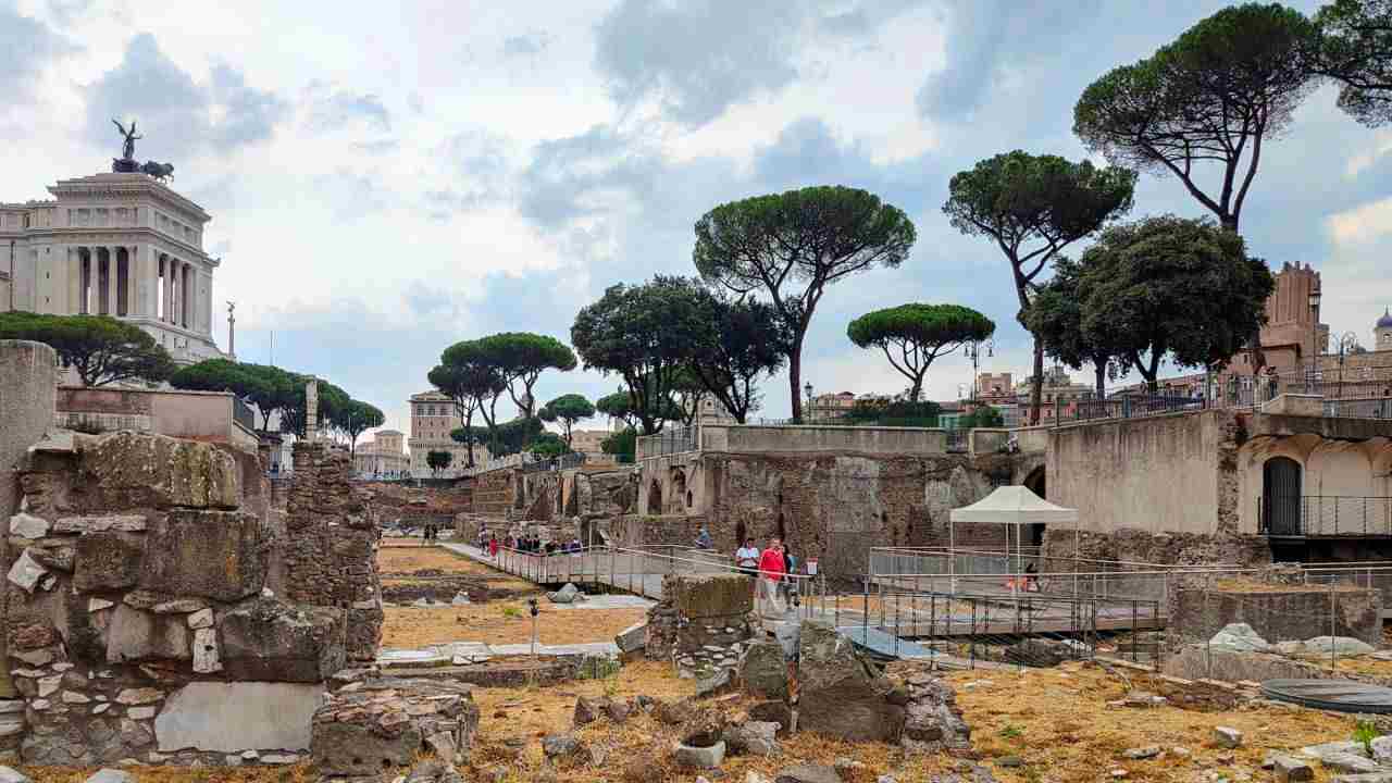 Reportage: gli alberi di Roma sono monumenti verdi, più di un milione ...