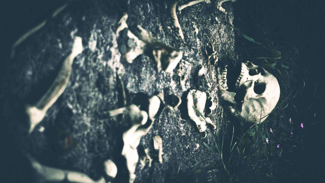 Il collezionista di ossa, il mistero dei resti trovati alla Magliana
